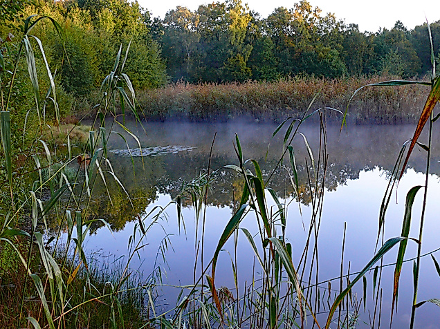 Nature reserves Raakmoor & Hummelsbütteler Moore