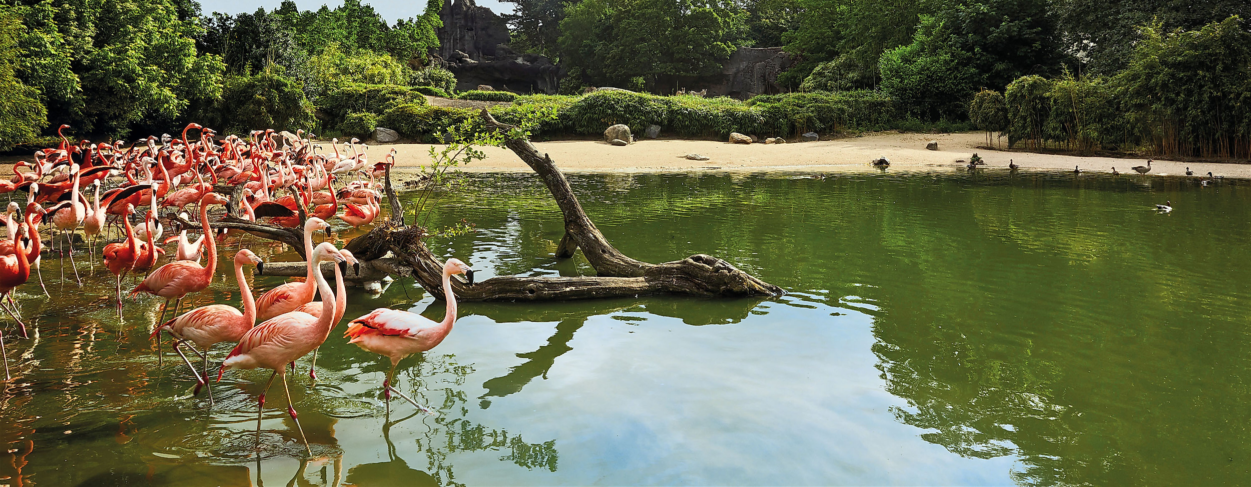 Tierpark Hagenbeck – Hamburgs tierisches Original