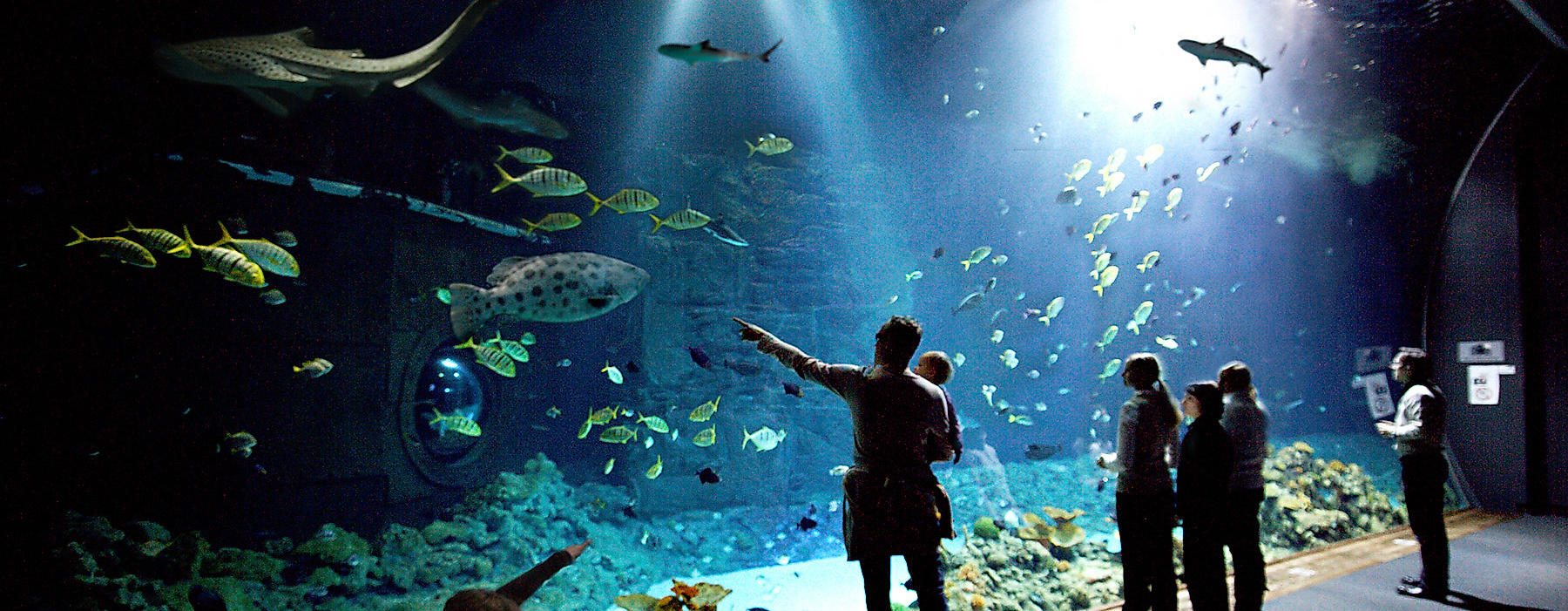 Hagenbeck Tropical Aquarium Hamburg
